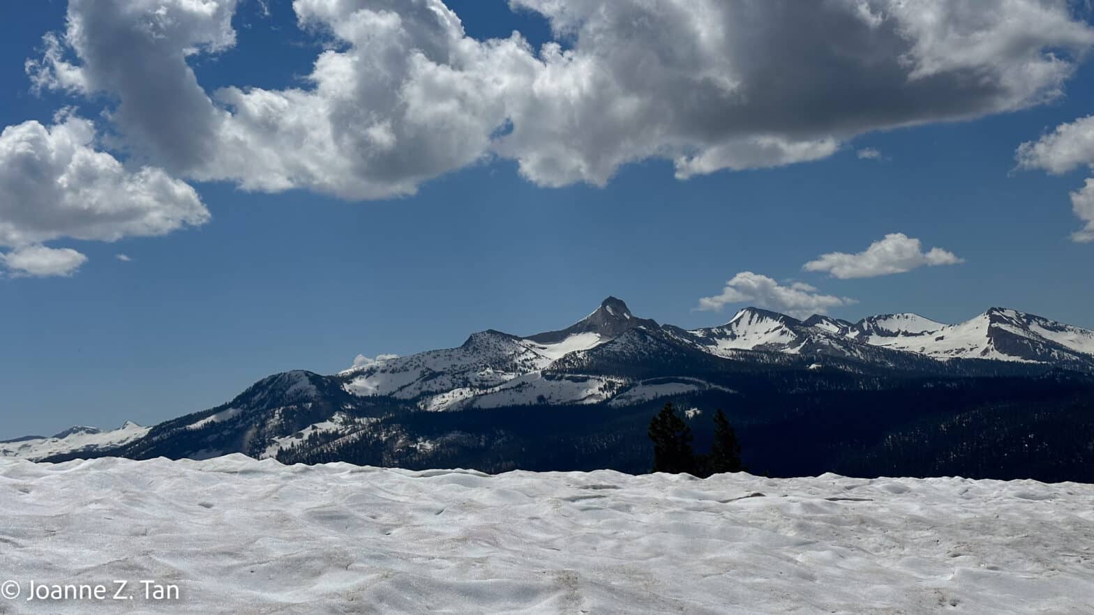 Clouds Rest Yosemite; talking to a wild quail: Pt 3 of 4, Joanne Tan